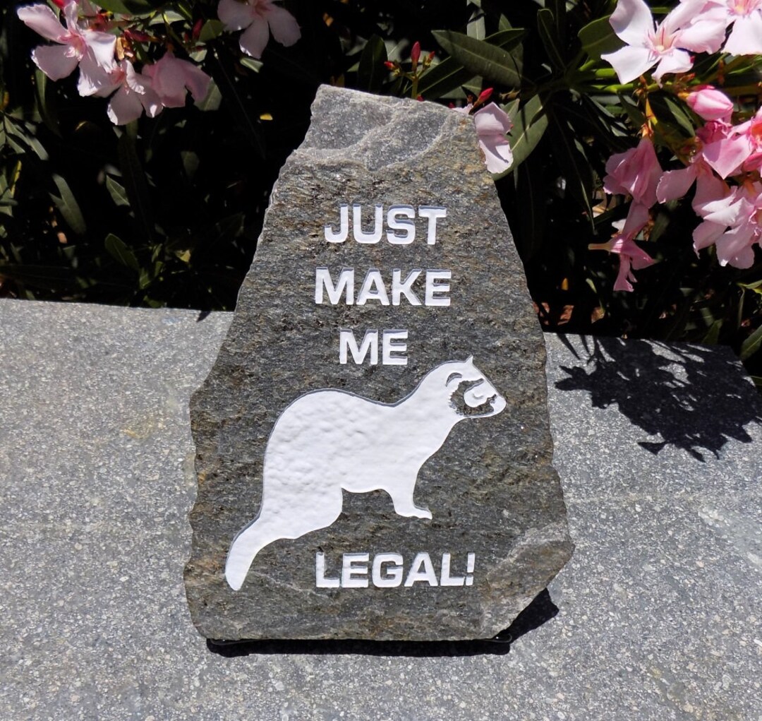 Engraved Stone Ferret Plaque, Ferret Art, Gift for Ferret Lover - Etsy