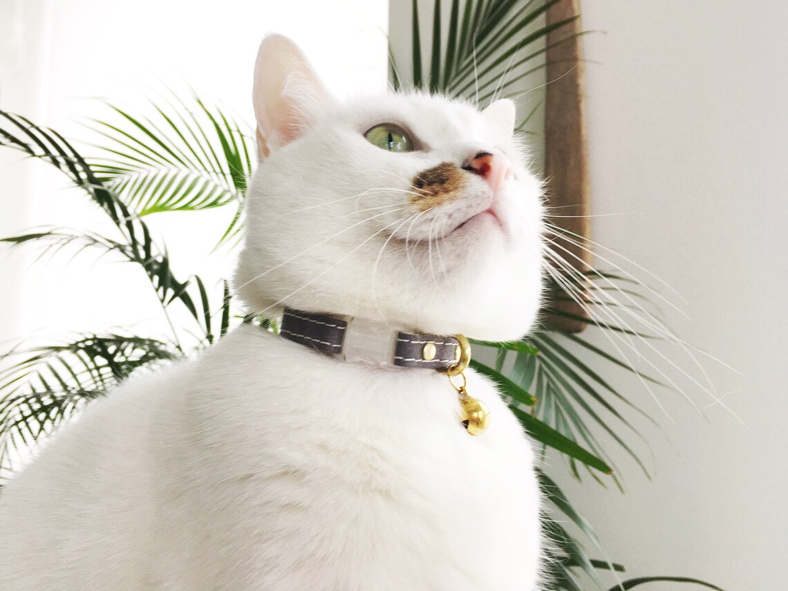 Grey Cat Collar in Vegan Leather With Breakaway Safety Buckle | Etsy