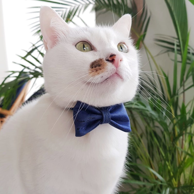 Cat Bow Tie - Etsy