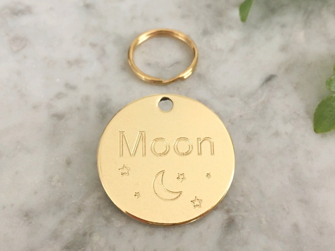Moon Cat Tag in Luxury Solid Brass, Engraved Cat ID Tag With ...