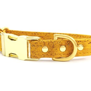 Yellow Dog Collar in Vegan Cork Leather With Luxury Brass Buckle ...