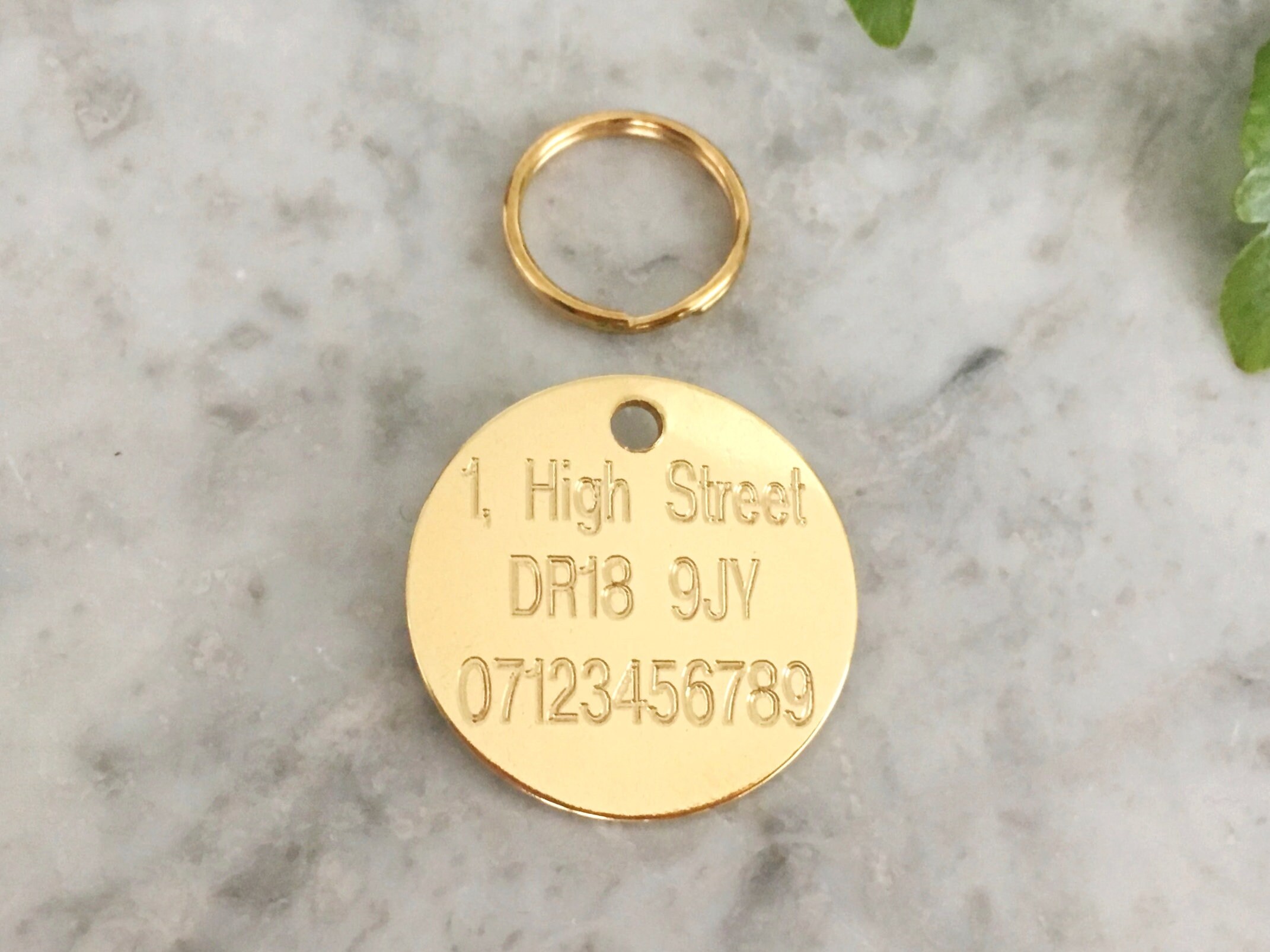 Moon Cat Tag in Luxury Solid Brass, Engraved Cat ID Tag With ...
