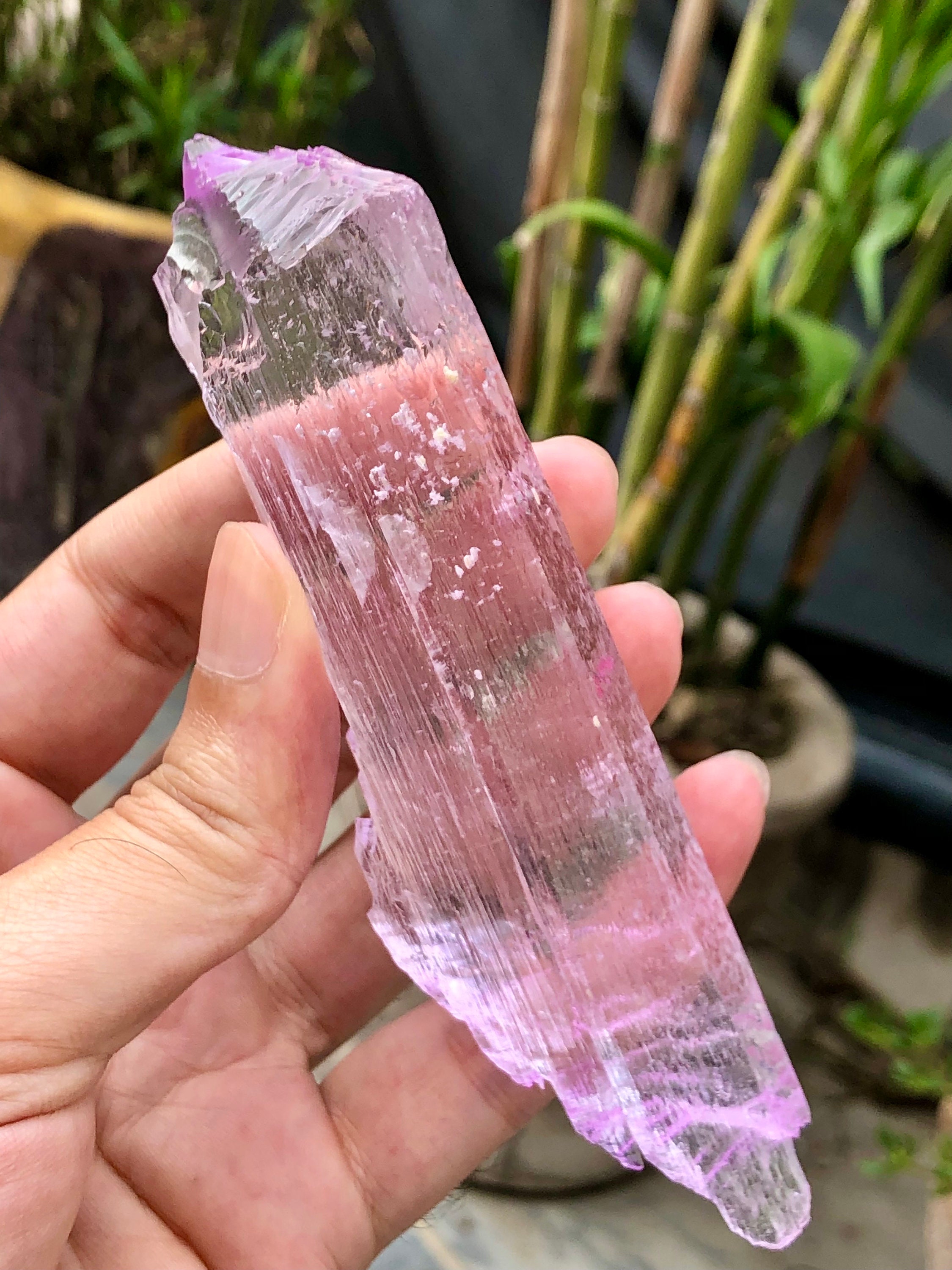 Rare Natural Kunzite - Vibrant Pink, Complete Termination, 172g ...