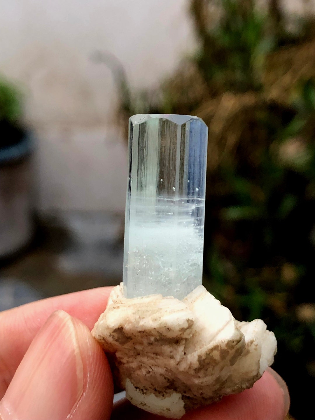Aquarium Specimen With Mother Rock - Etsy