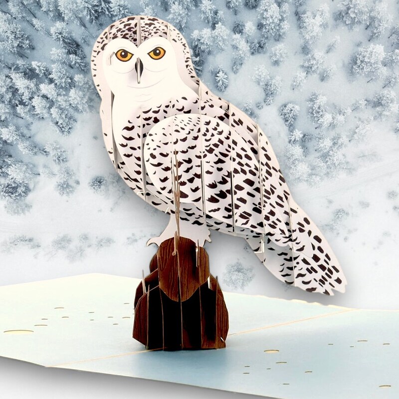 Handcrafted Owl - Etsy