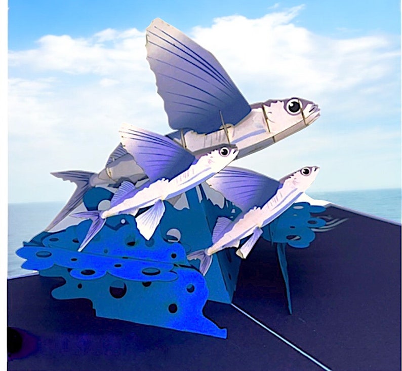 FLYING FISH Pop up Card - Life of Pi Card - Hand Assembled Pop up Fish ...