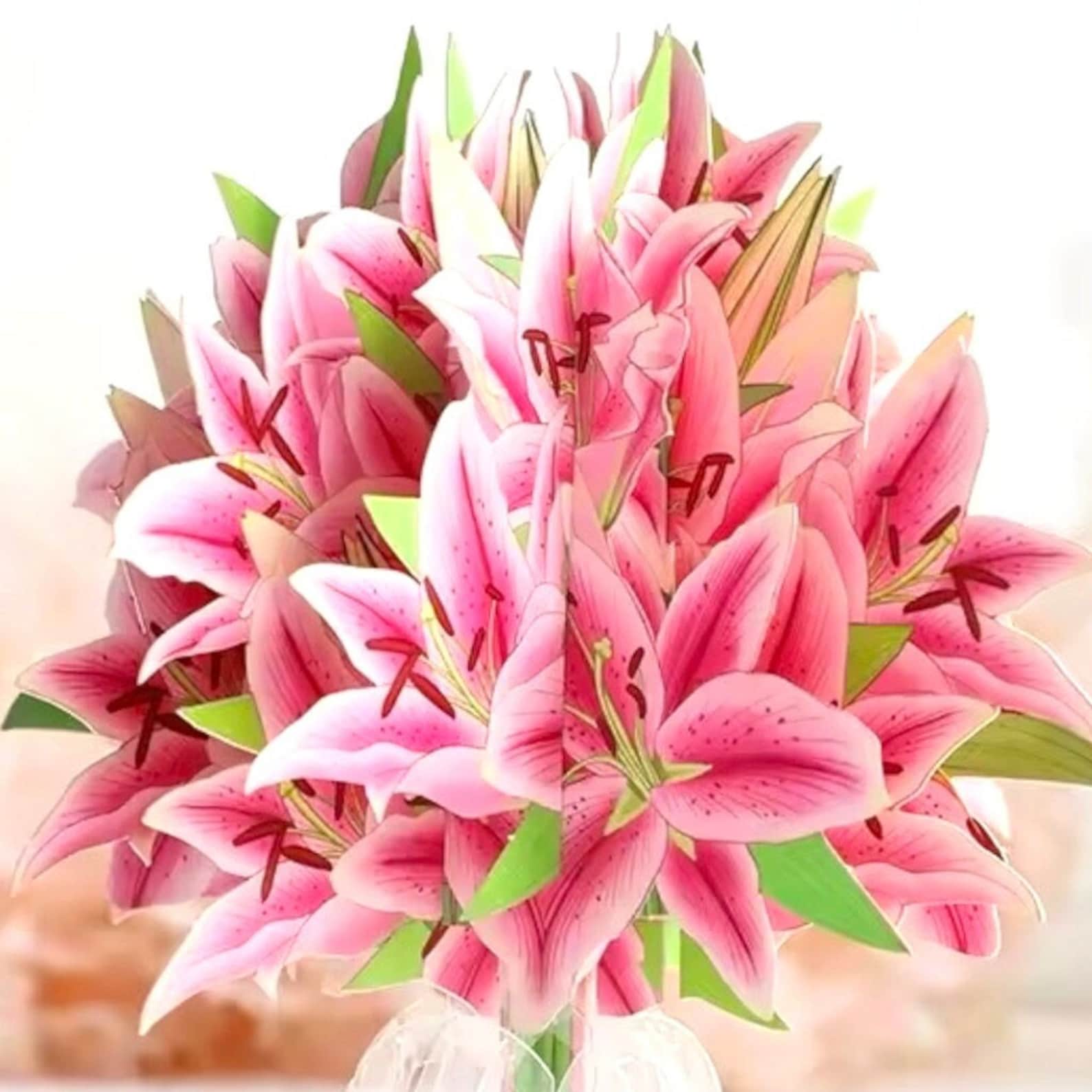 STARGAZER LILY Pop up Card 3D Pink Floral Lily Card Lily Flower Card ...