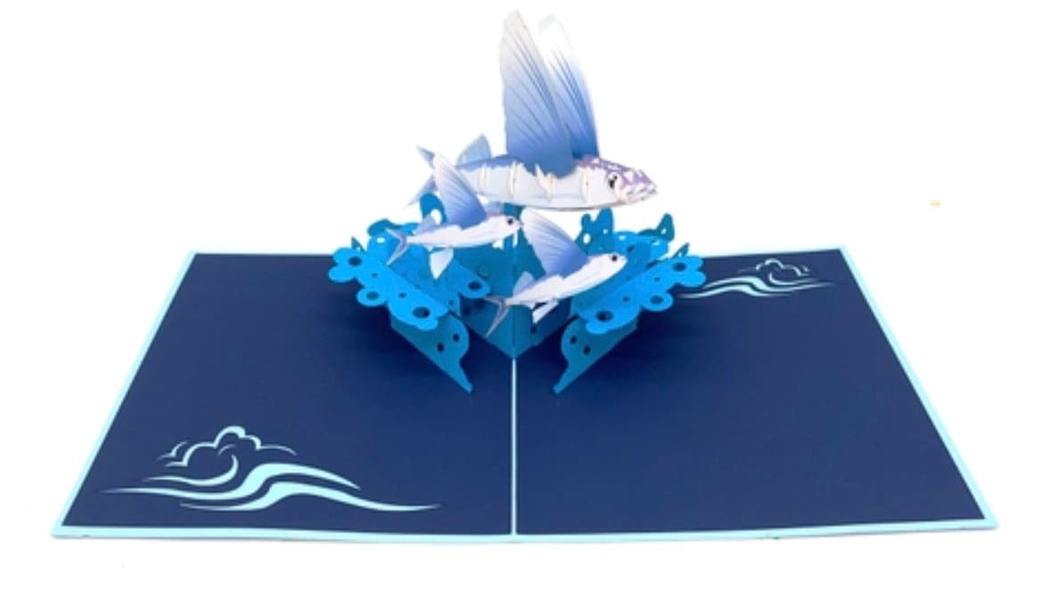 FLYING FISH Pop up Card Life of Pi Card Hand Assembled Pop up Fish Card ...