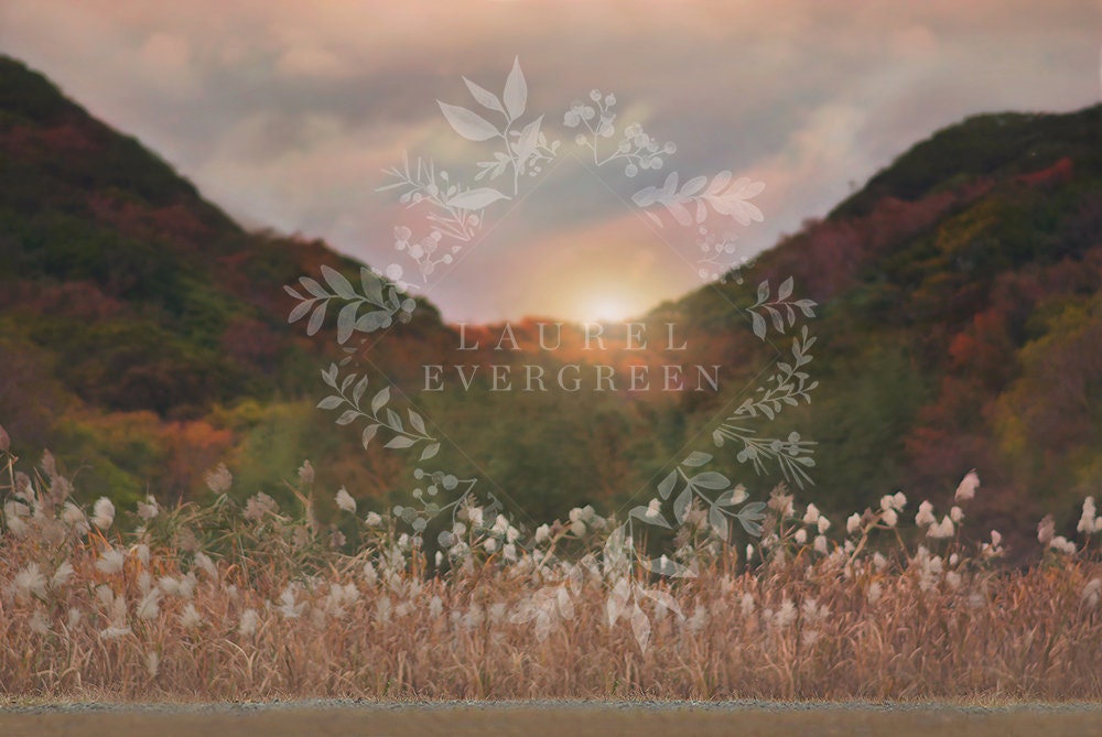 Digital Background, Fall Digital Backdrop, Photography Backdrop Dreamy ...