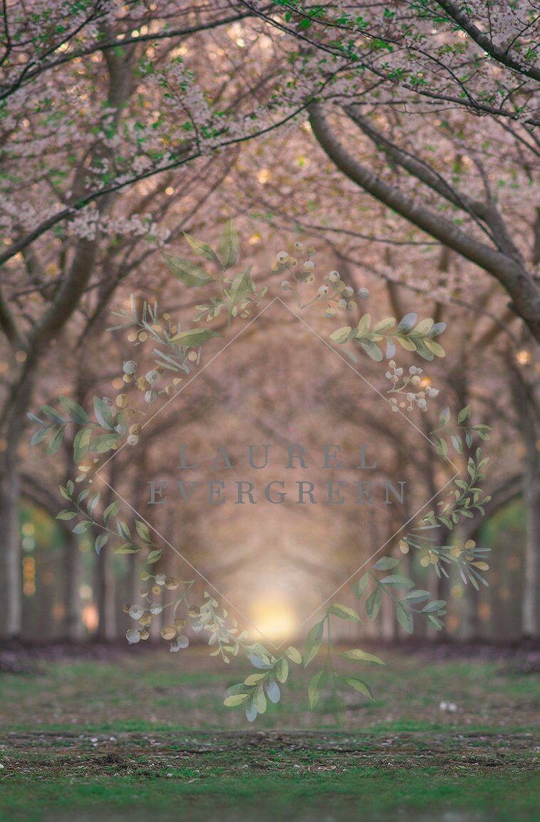 Digital Background, Magical Digital Backdrop, Dreamy Background ...