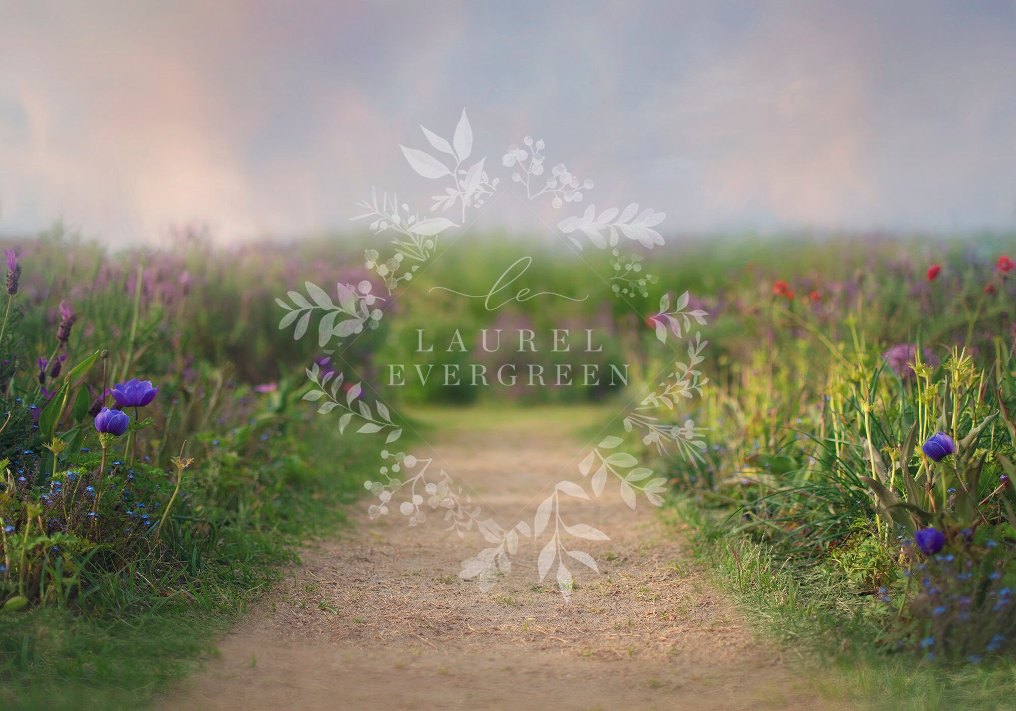 Digital Background, Summer Digital Backdrop, Dreamy Background ...