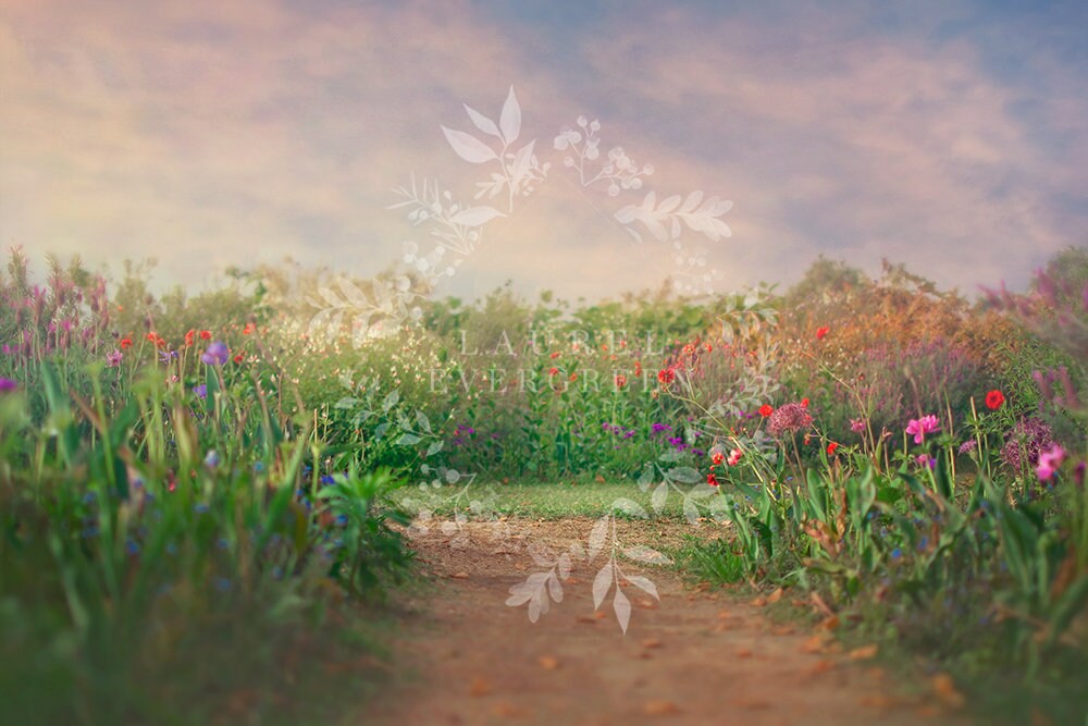 Digital Background, Magical Digital Backdrop, Photography, Dreamy ...