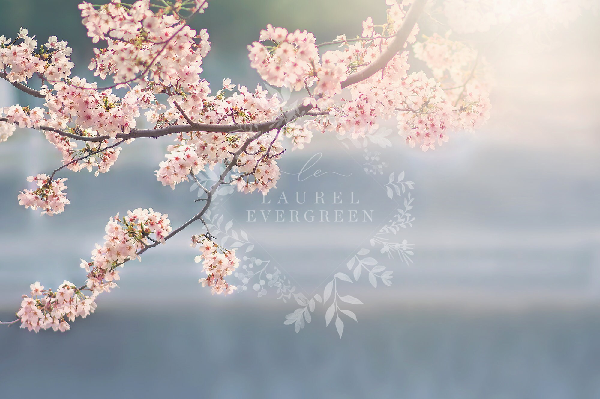 Digital Background, Spring Background, Magical Digital Backdrop, Dreamy ...