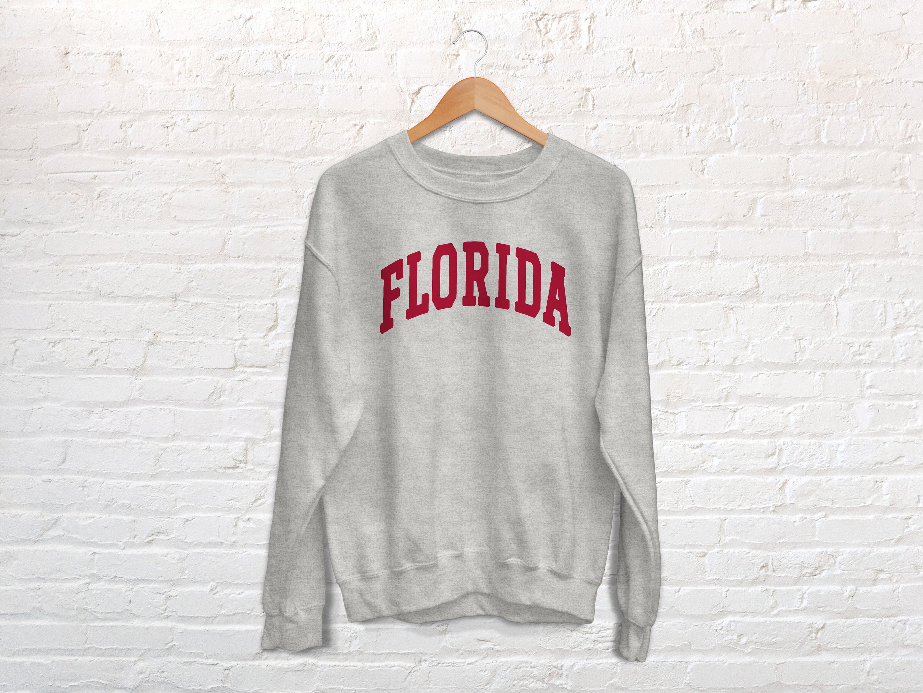 Florida College Sweatshirt | Etsy