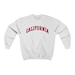 California College Sweatshirt - Etsy