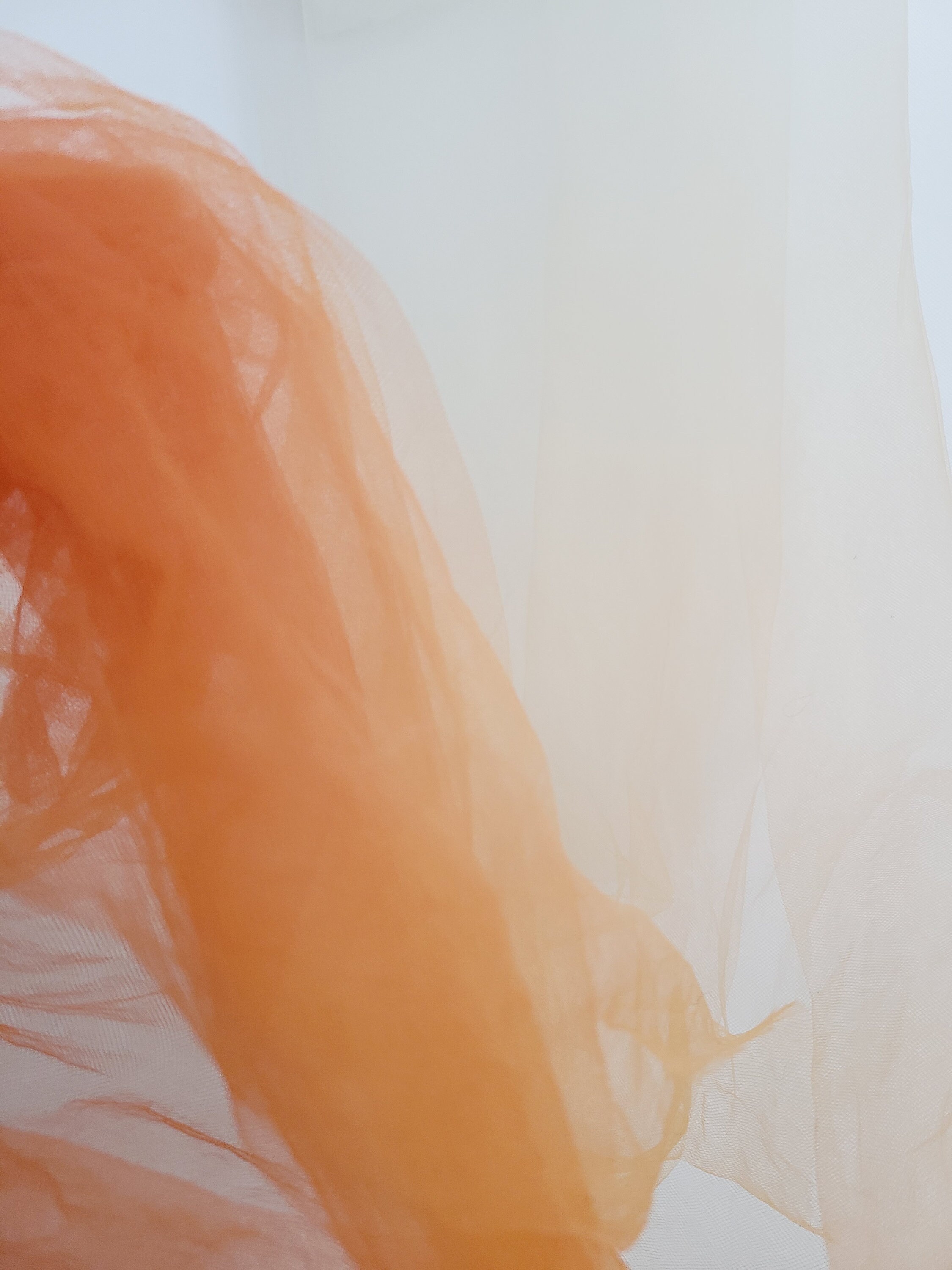 Orange Ombré Chapel Length Veil Colourful Bridal Veil Color Wedding ...