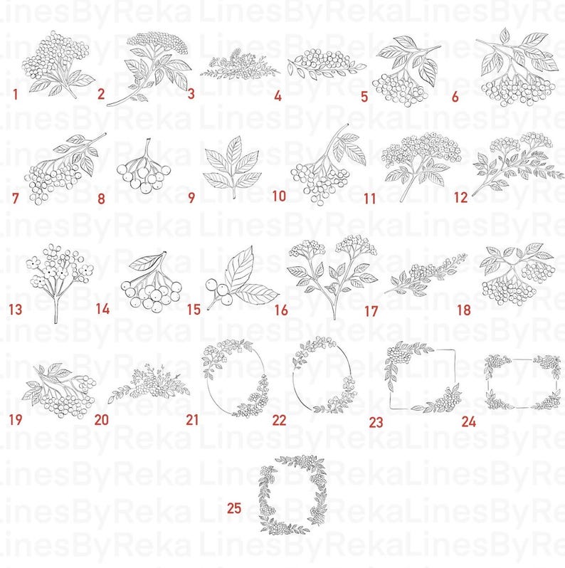 25 Elderberry Procreate Stamps, Fine Line Botanical Brushes, Elegant ...