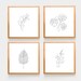 Square Botanical Print Set of 4 Minimalist Dorm Decor Farmhouse Wall ...