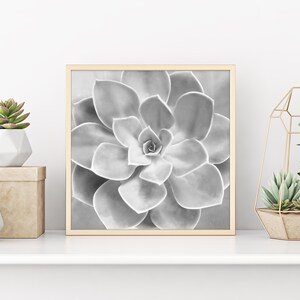 Printable Rose Succulent Wall Art Print Poster Decor Cactus Poster ...