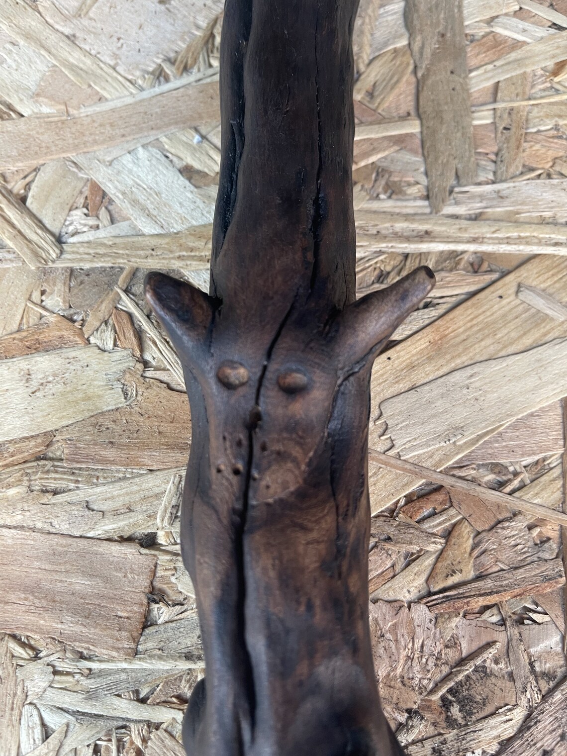 Witch's Finger Shaman Rattle: Pine, Goat Leather Ongon, 16 Inch - Etsy