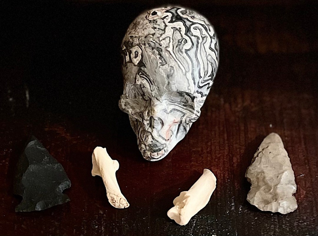 Armadillo Hand/paw Bone - Etsy