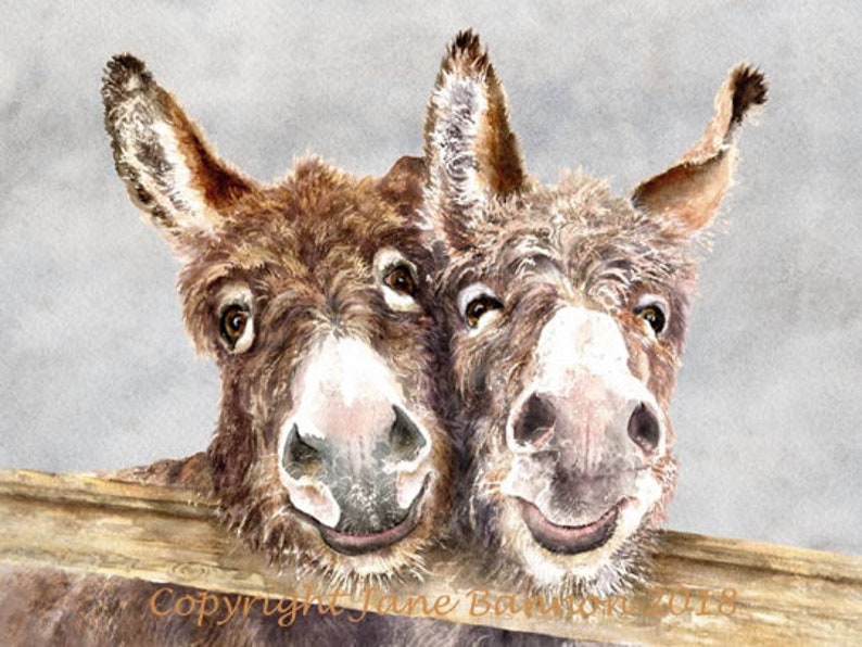 Donkey Watercolour Printed on Canvas, by Jane Bannon Field and Fur 20 ...