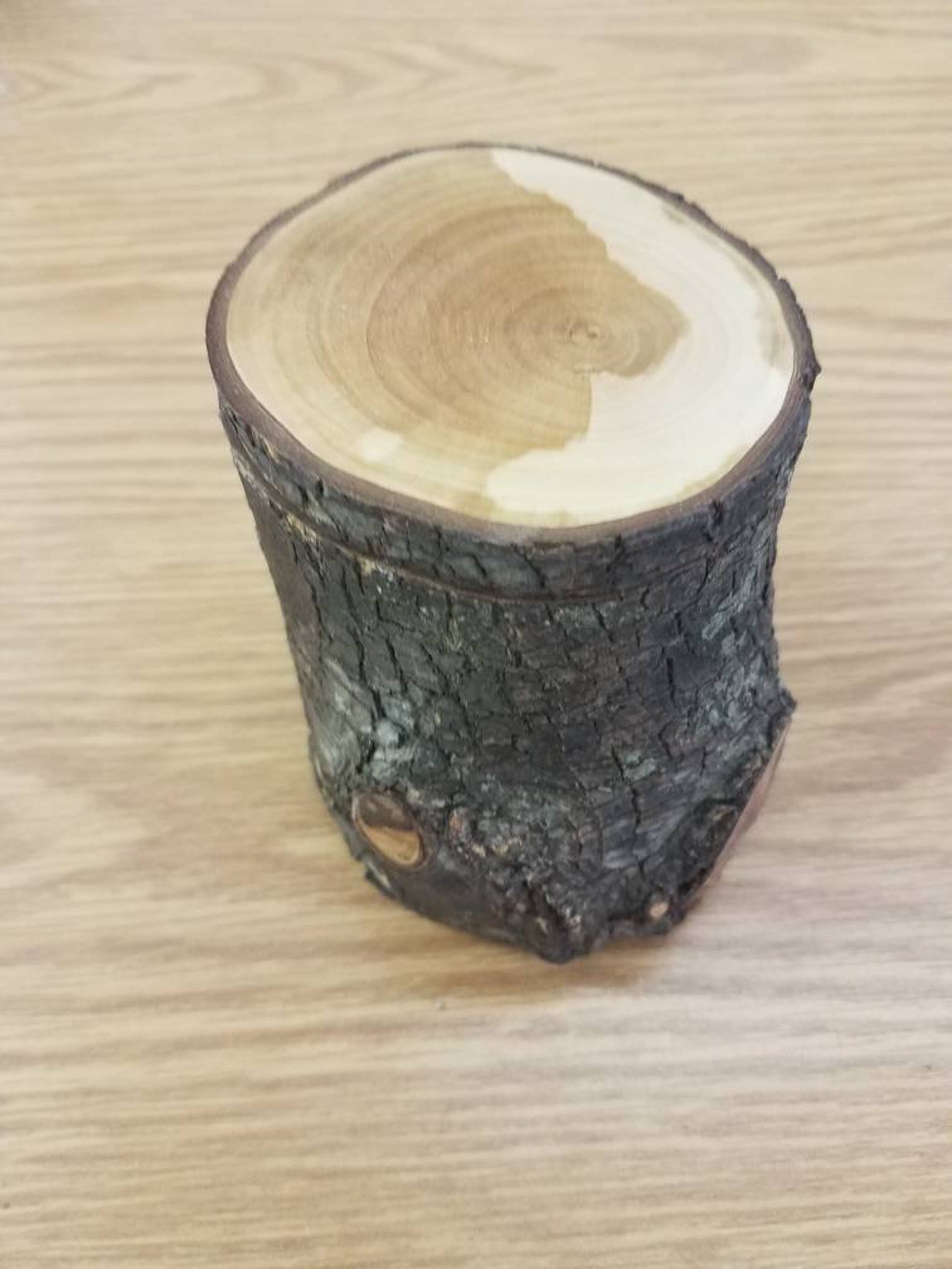 Natural Log Band Saw Box, Trinket Box, Jewelry Box, Live Edge Rustic ...