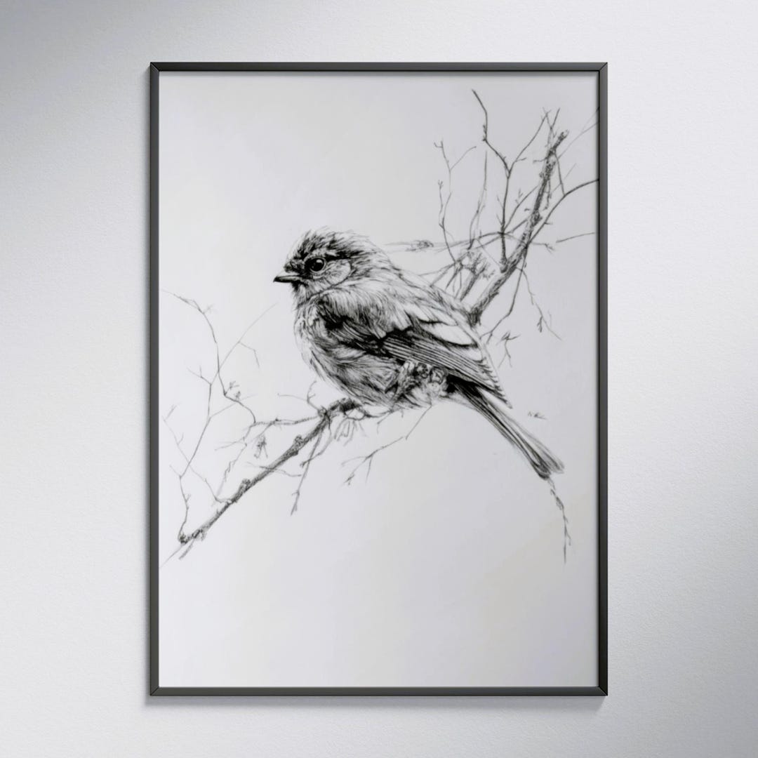 Minimalist Sparrow Line Art Print: Black and White Drawing (digital ...