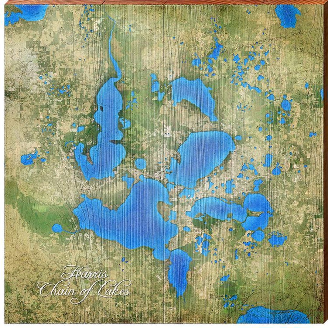 Harris Chain of Lakes, Florida Satellite Styled Map Wall Art | Wall Art ...