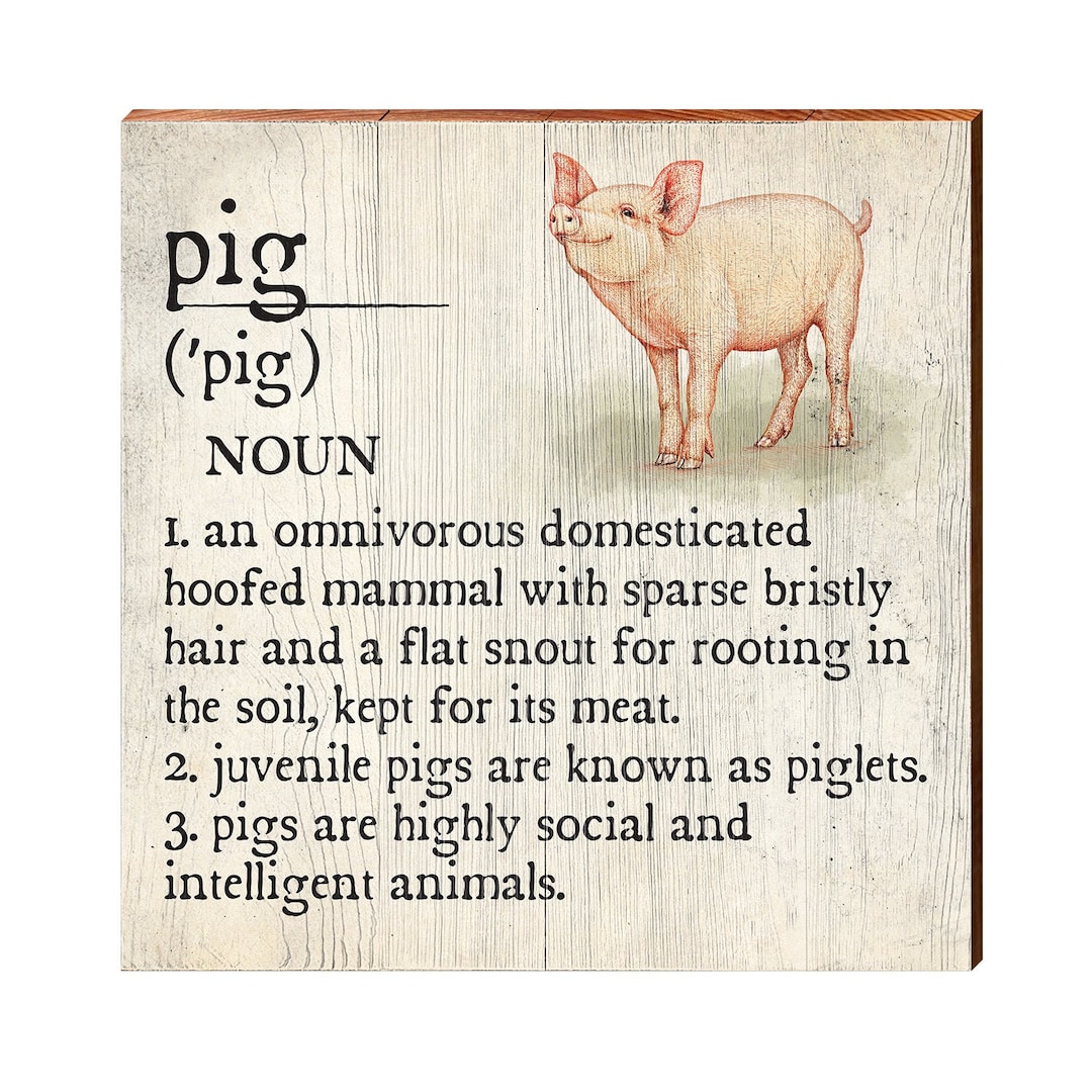 Pig Definition Wooden Sign Wall Art Print on Real Wood - Etsy