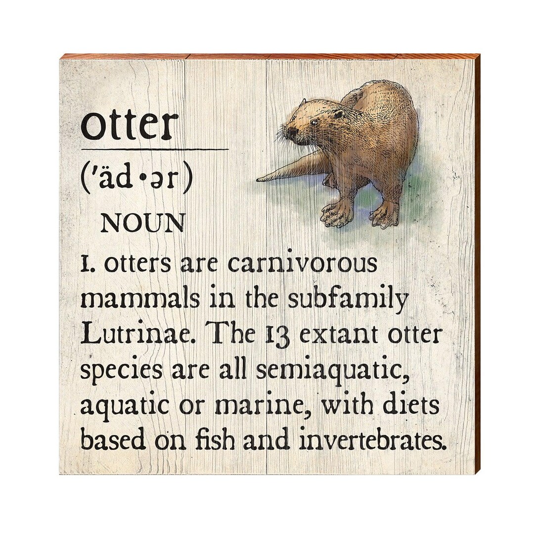 Otter Definition Wooden Sign | Wall Art Print on Real Wood - Etsy