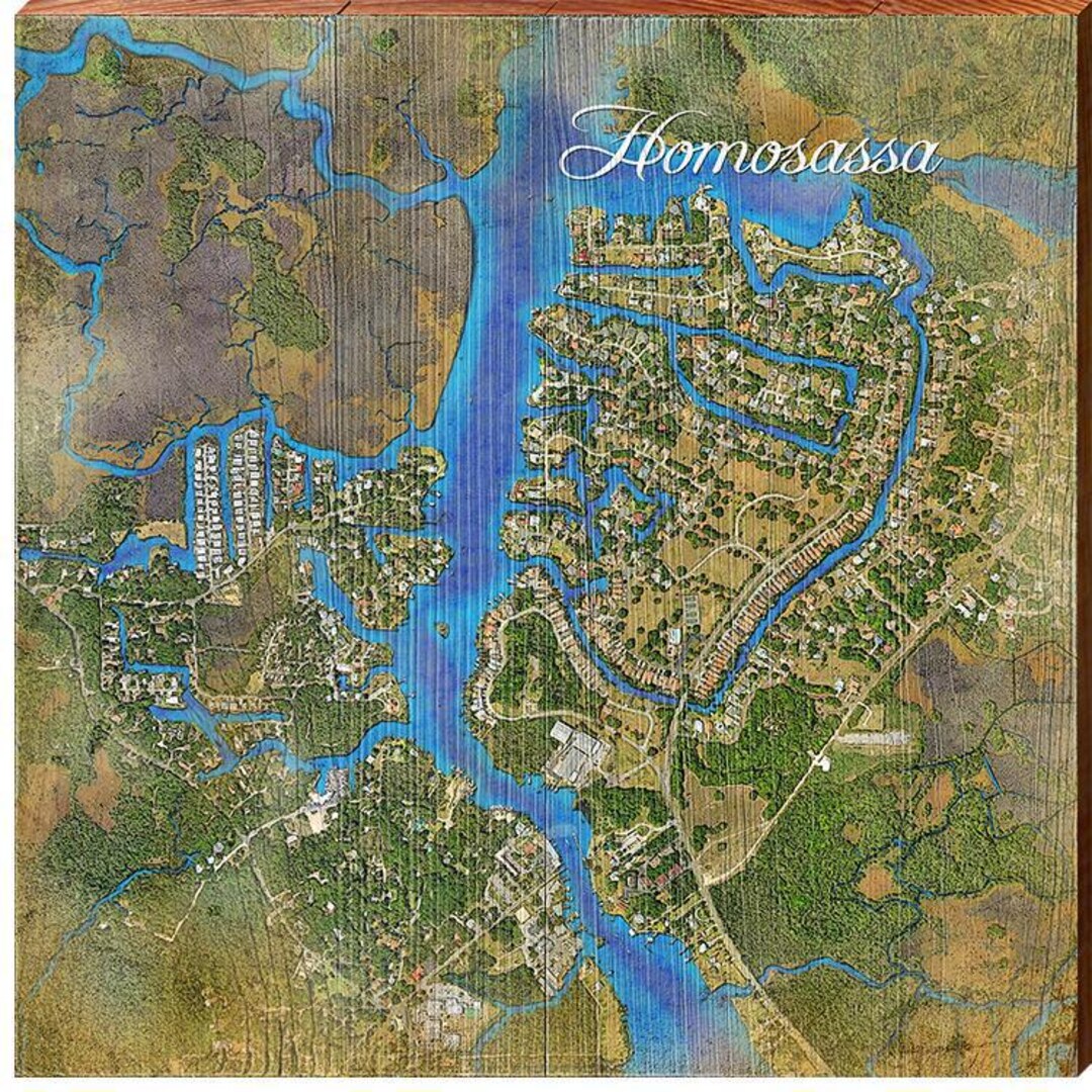 Homosassa, Florida Satellite Styled Map Wall Art | Wall Art Print on ...