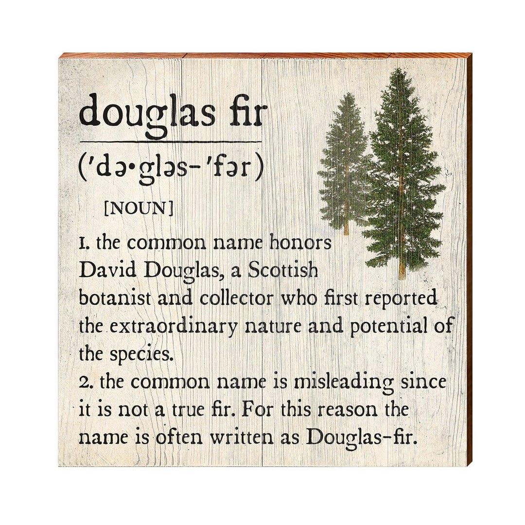 Douglas Fir Tree Definition Wooden Sign | Wall Art Print on Real Wood ...