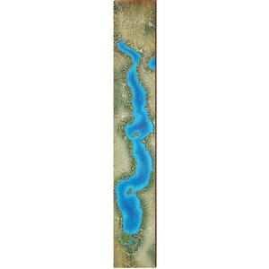 Long Lake Map Home Decor Art Print on Real Wood - Etsy