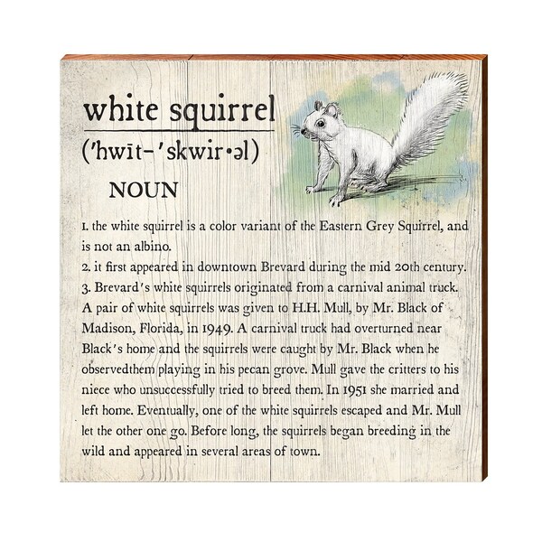 Wooden Squirrel - Etsy