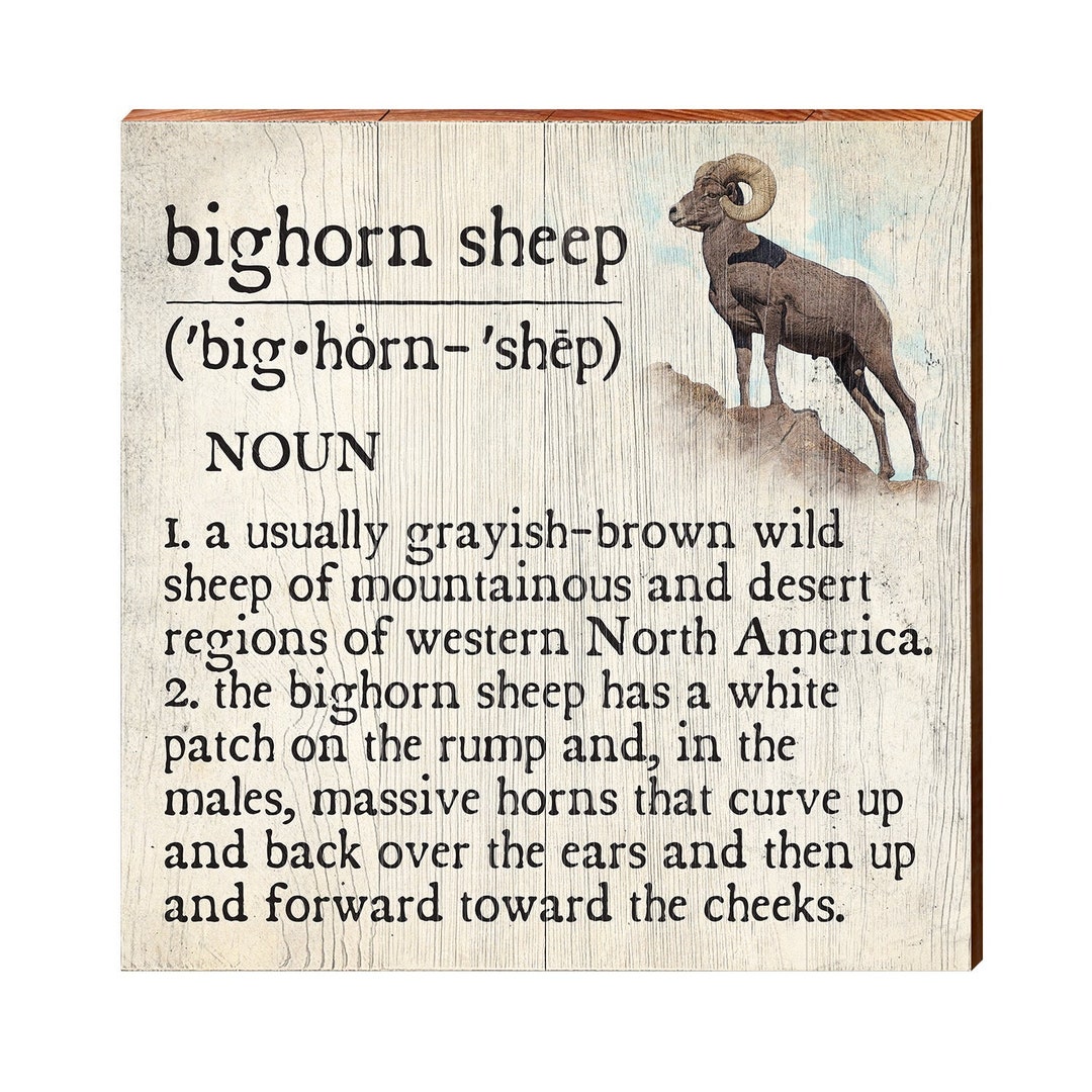 Bighorn Sheep Definition Wooden Sign Wall Art Print on Real - Etsy