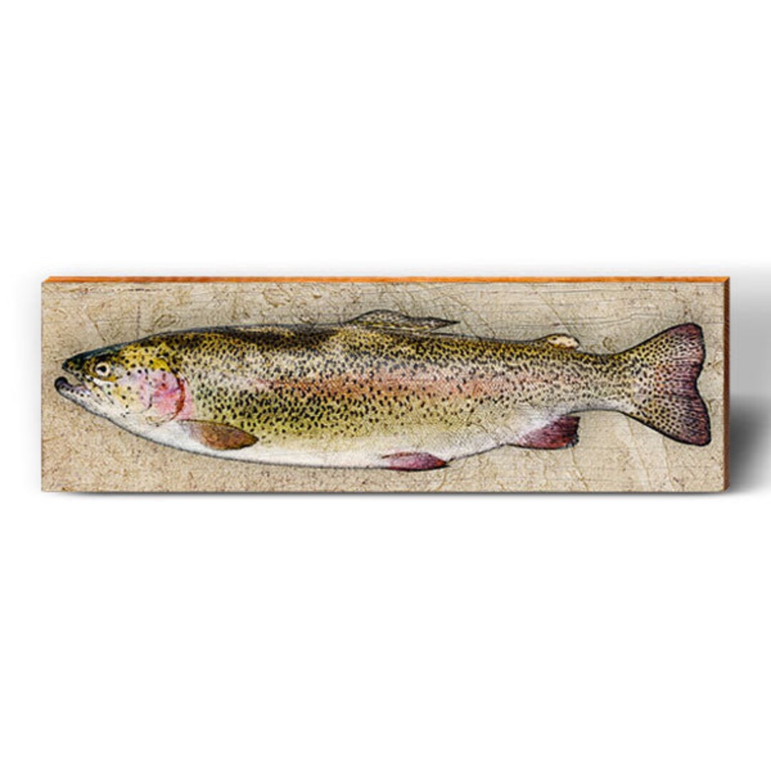 Rainbow Trout Wall Art Print on Real Wood - Etsy