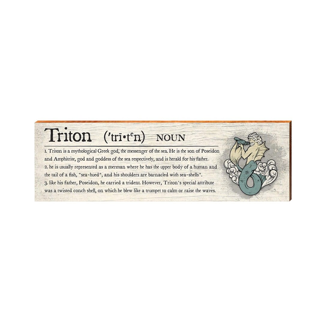 Triton Definition Wooden Sign | Wall Art Print on Real Wood - Etsy