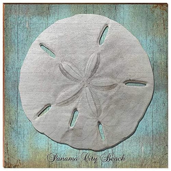 Sand Dollar Art - Etsy