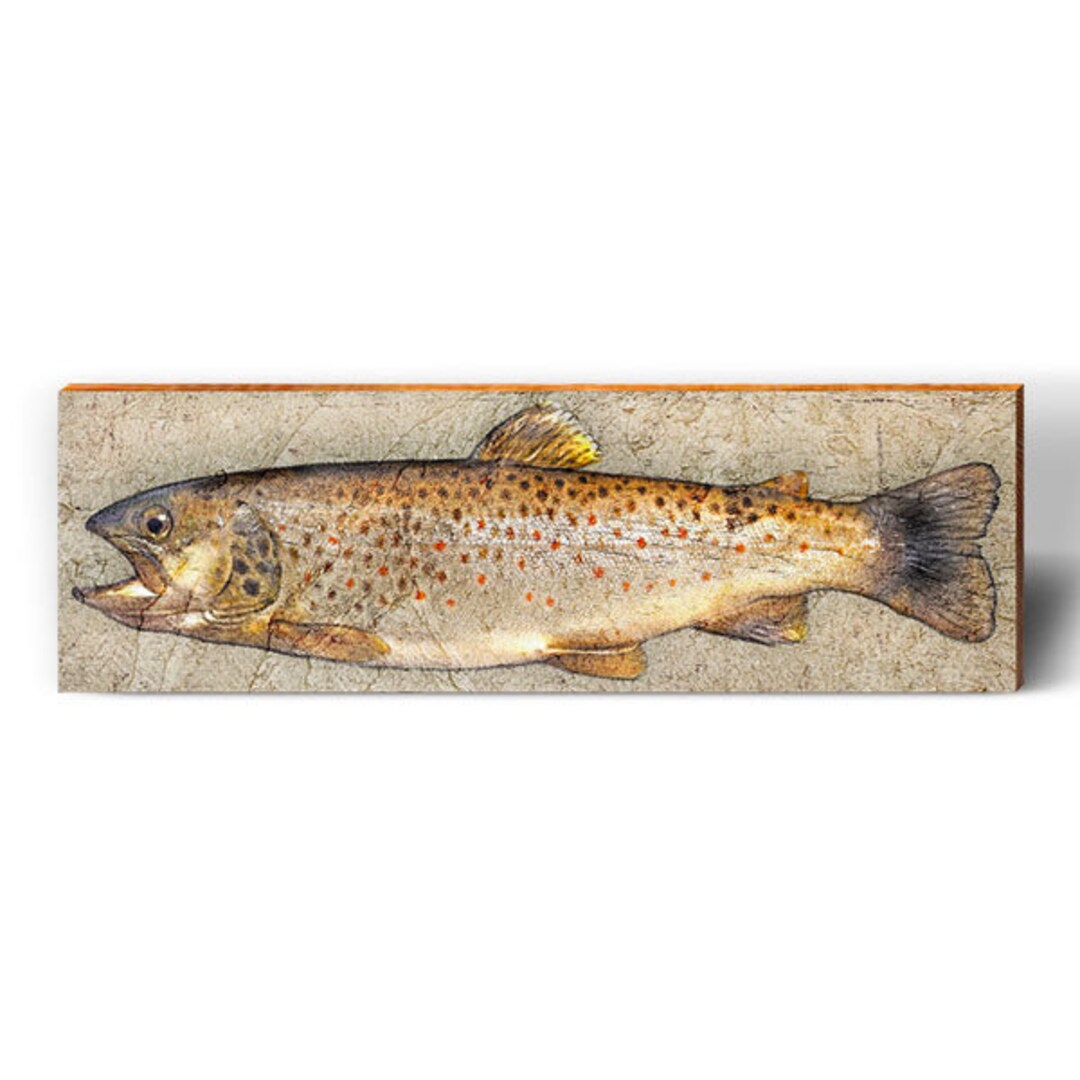 Brown Trout Wall Art Print on Real Wood - Etsy