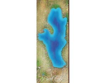 Burt Lake Map - Etsy