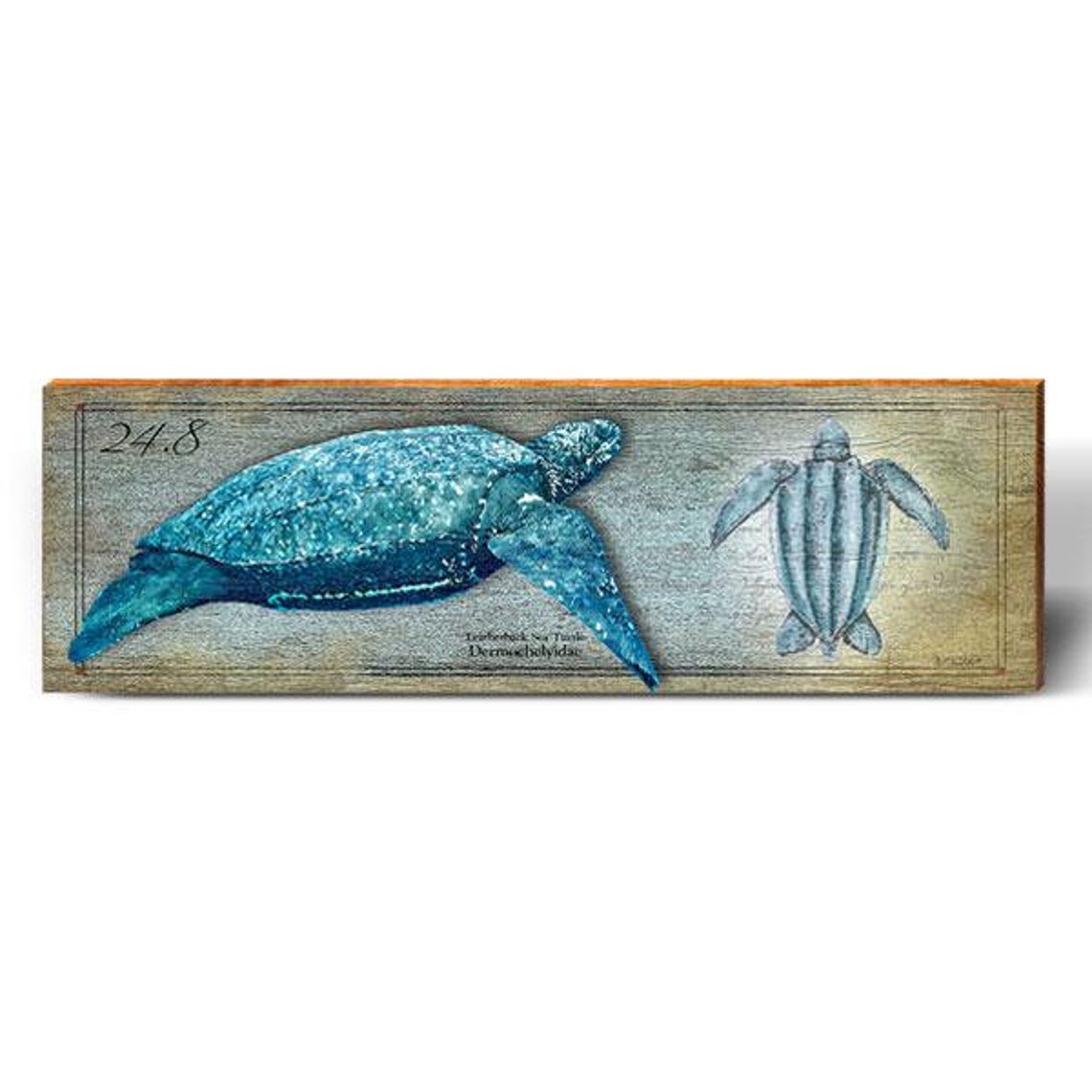 Leatherback Sea Turtle Study - Etsy