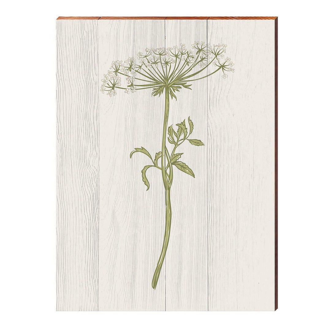 Vintage Botanical Cow Parsnip | Wall Art Print on Real Wood - Etsy