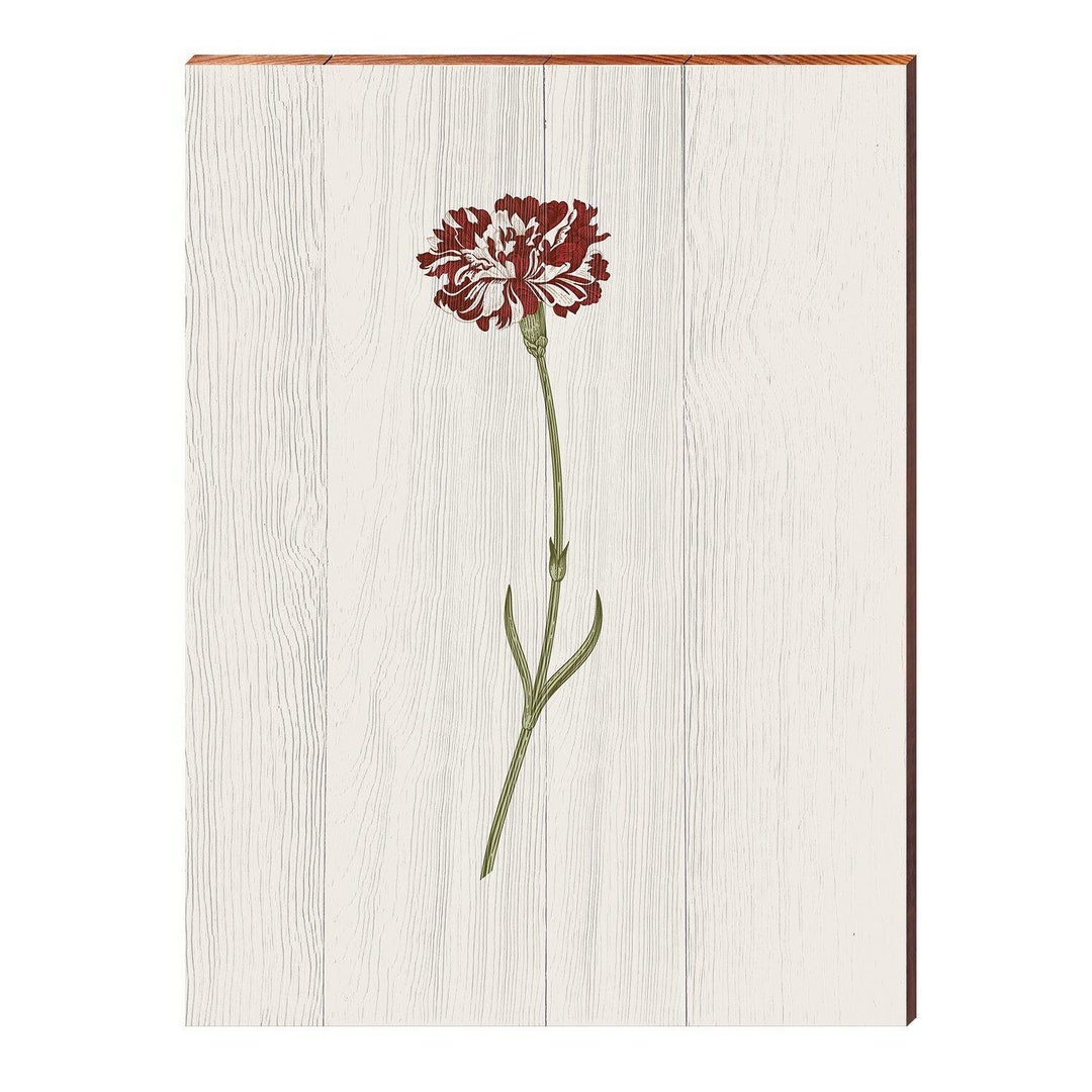 Vintage Botanical Carnation Wall Art Print on Real Wood - Etsy
