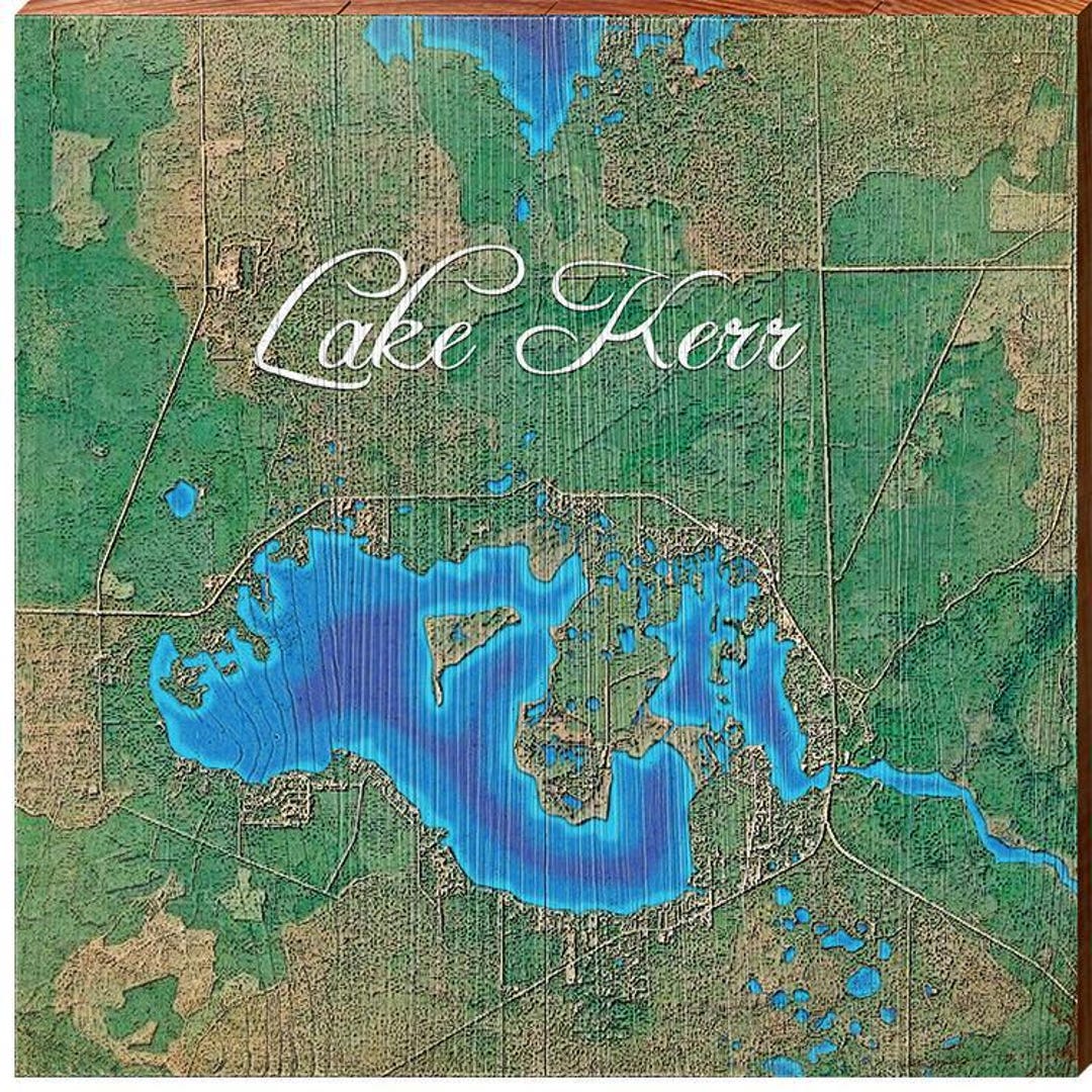 Lake Kerr, Florida Satellite Map | Wall Art Print on Real Wood - Etsy