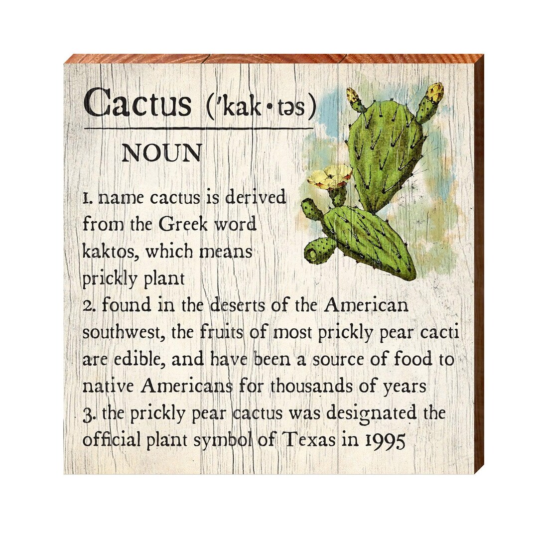 Cactus Definition Wooden Sign | Wall Art Print on Real Wood | Home ...