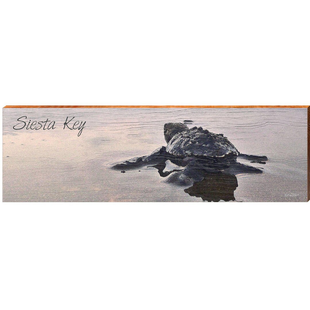 Siesta Key Baby Sea Turtle Wall Art Print on Real Wood - Etsy