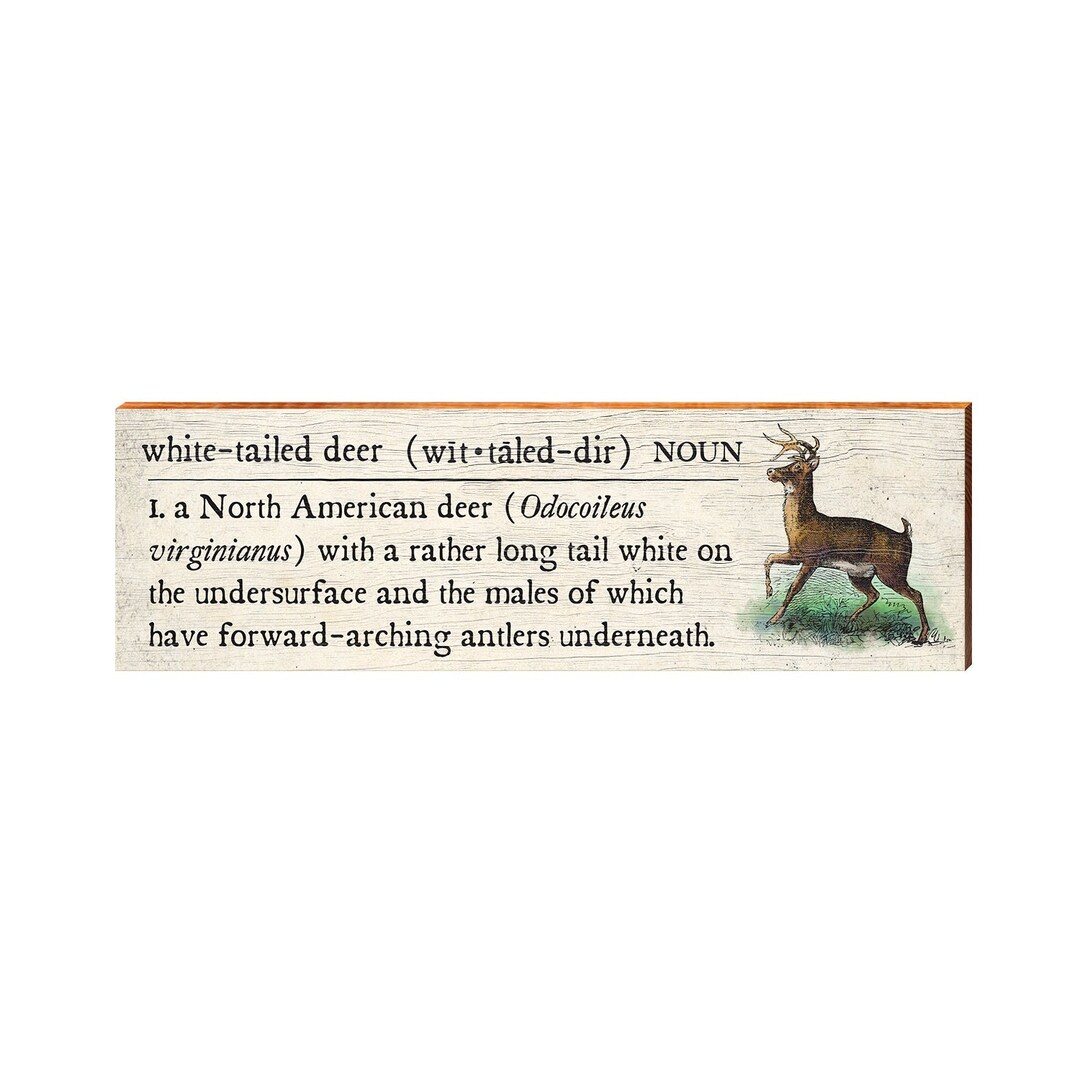 White Tailed Deer Definition Wooden Sign Wall Art Print on Real Wood ...