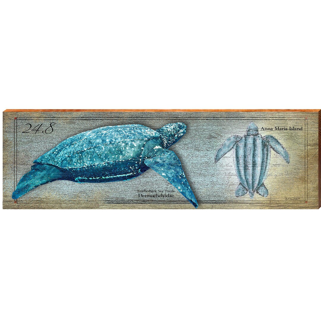 Anna Maria Island Leatherback Sea Turtle Study | Wall Art Print on Real ...