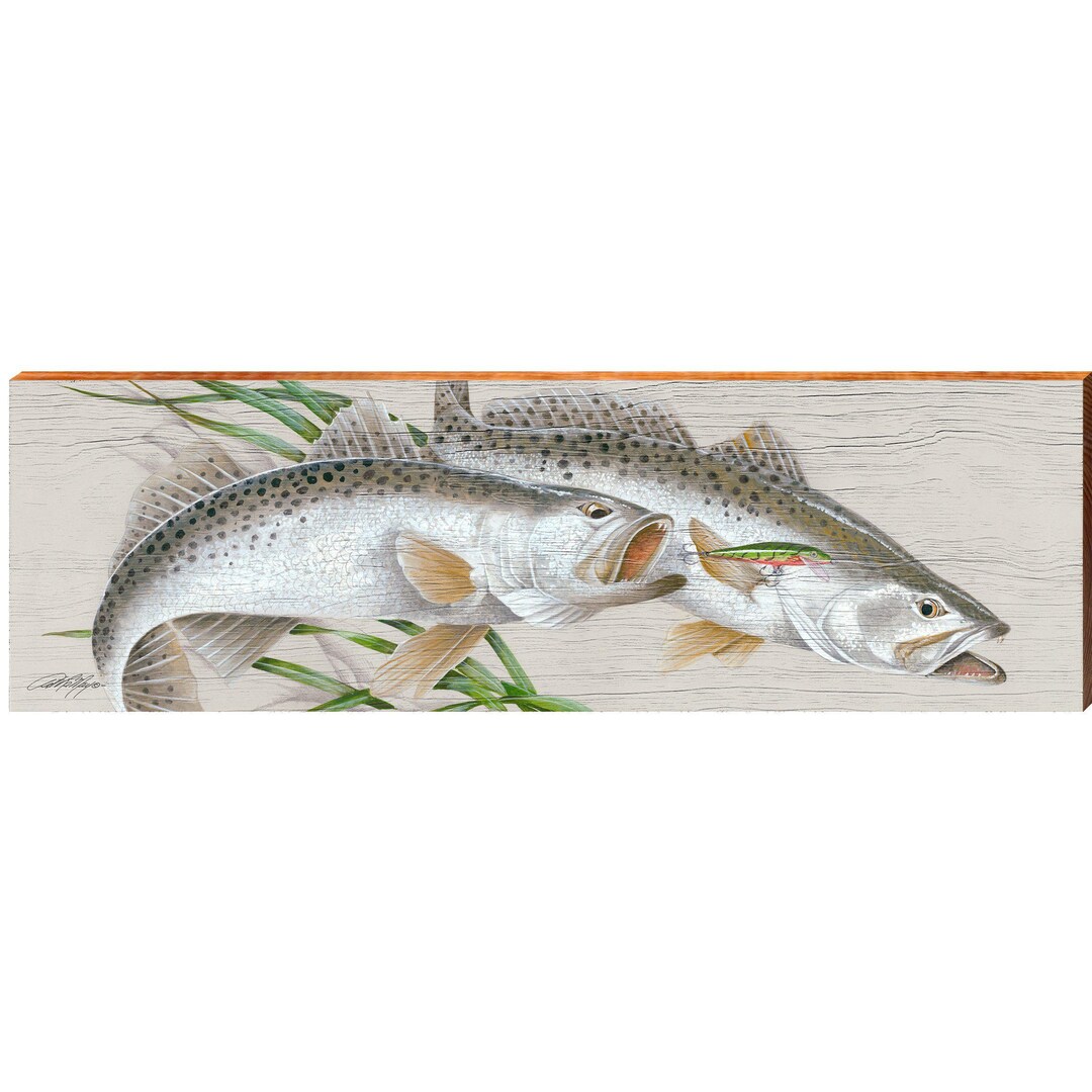 Art Lamay | Trout | Wall Art Print on Real Wood - Etsy